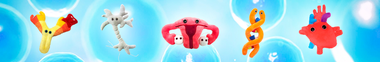 ORGANS & CELLS – Giant Microbes Canada