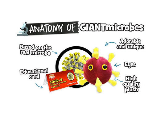 GIANTmicrobes.ca – Giant Microbes Canada