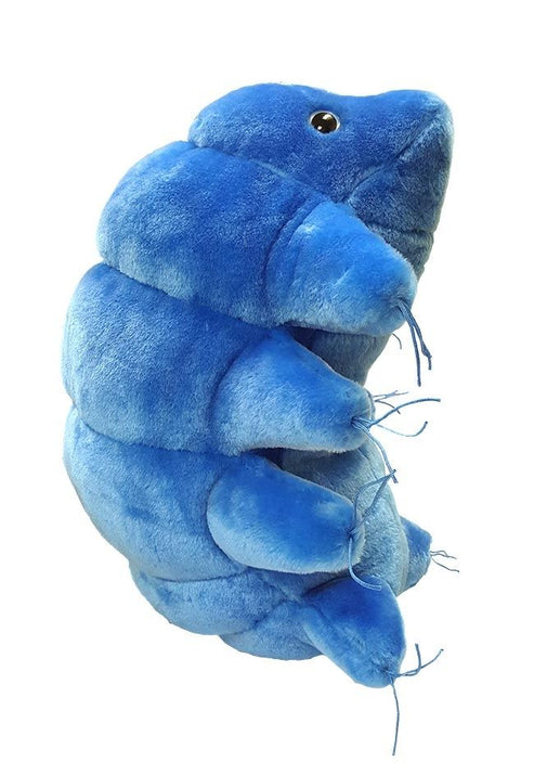 Waterbear Gigantic 15" – Giant Microbes Canada