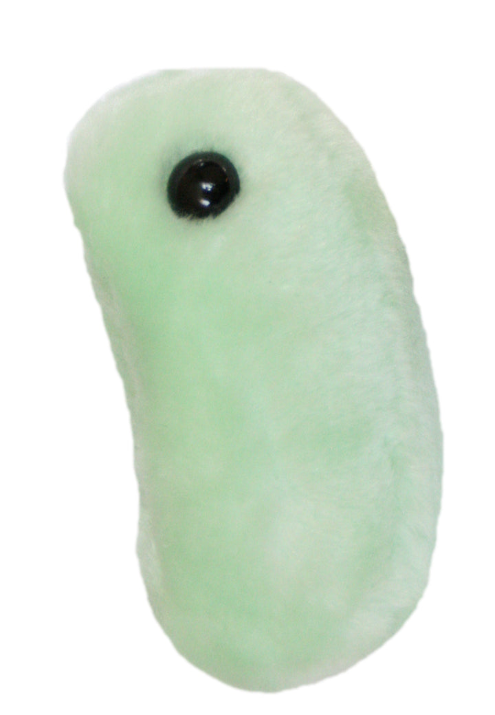 Ear, Nose & Throat – Giant Microbes Canada