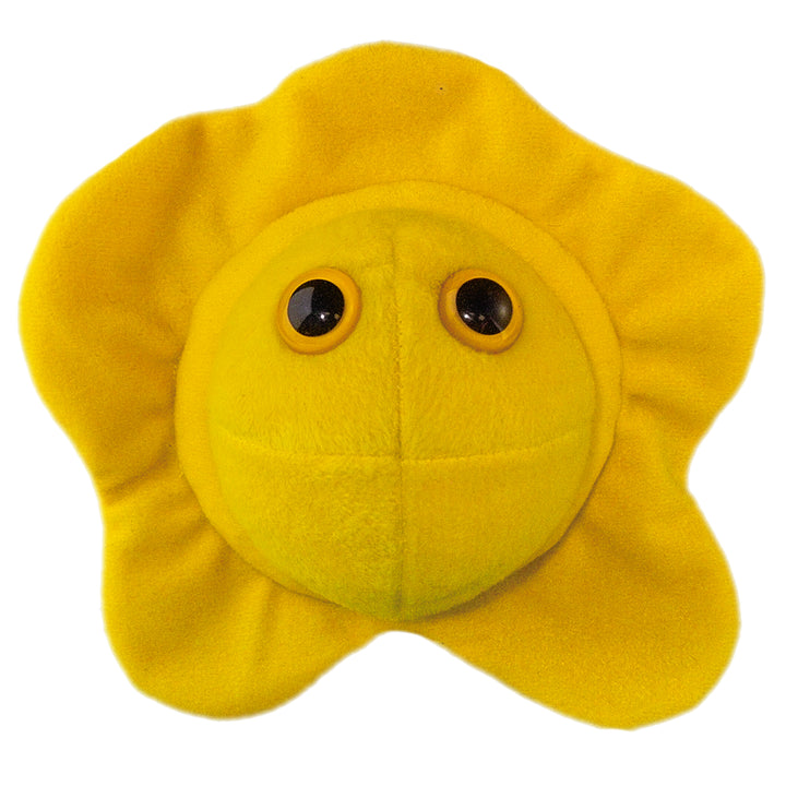 GIANTmicrobes.ca – Giant Microbes Canada