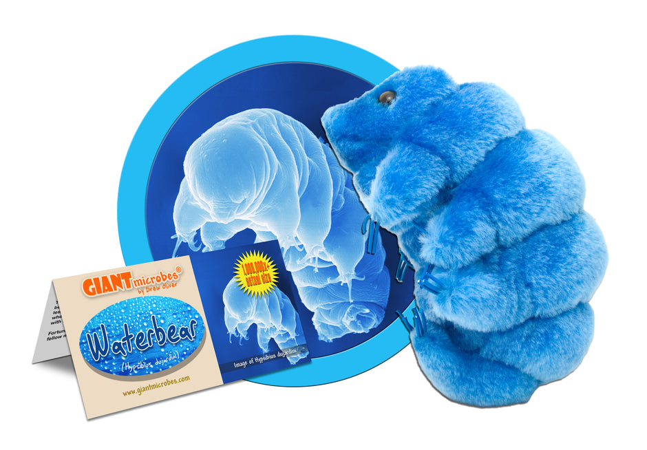 GIANTmicrobes.ca – Giant Microbes Canada