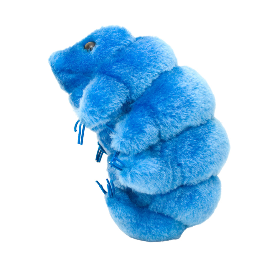 GIANTmicrobes.ca – Giant Microbes Canada